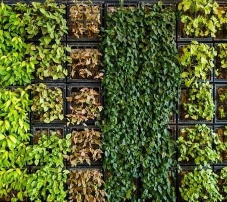 The Top 10 Garden Trends for 2024 - Garden Dust