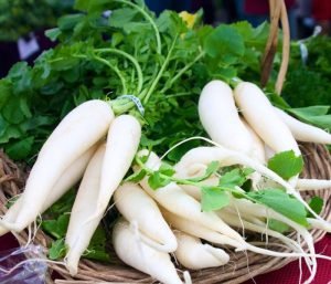 15 Vegetables To Grow In Rainy Season - Garden Dust