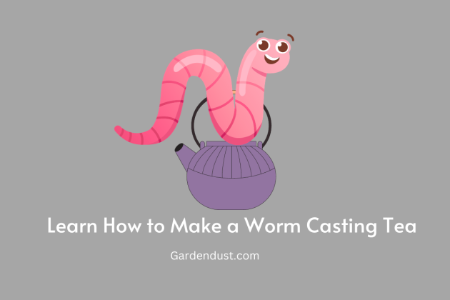 Worm Casting Tea Recipe: Learn How to Make a Worm Casting Tea - Garden Dust