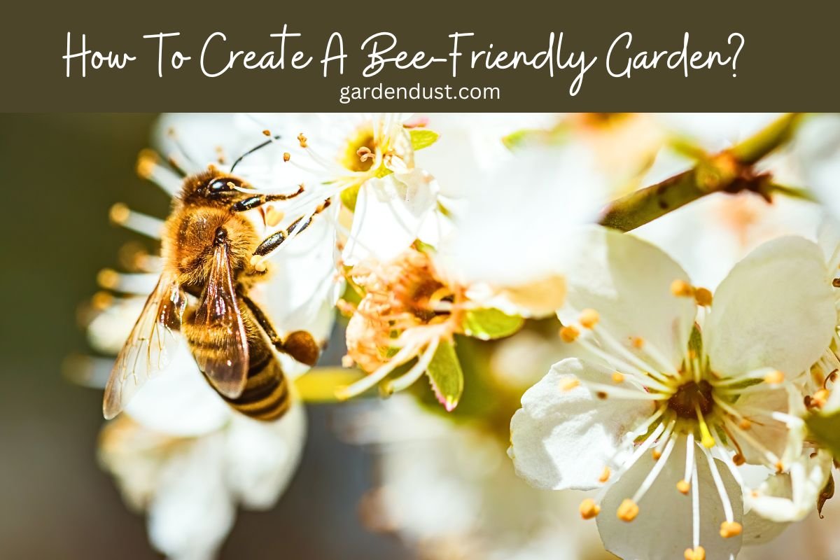 How To Create A Bee-Friendly Garden? - Garden Dust