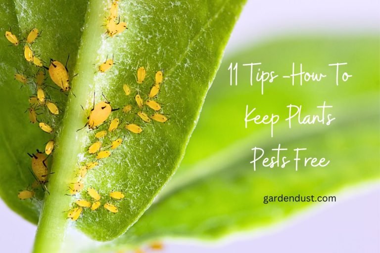 11 Tips -How To Keep Plants Pests Free - Garden Dust