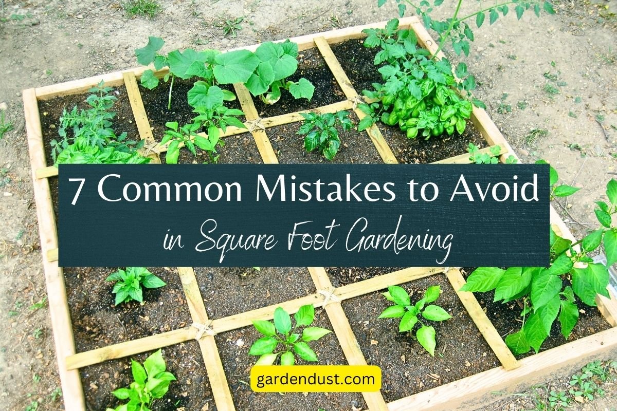 7 Common Mistakes to Avoid in Square Foot Gardening - Garden Dust