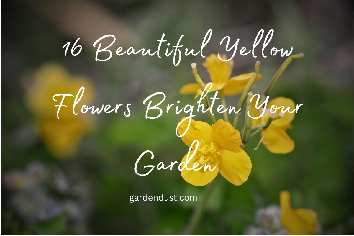 16 Beautiful Yellow Flowers Brighten Your Garden - Garden Dust