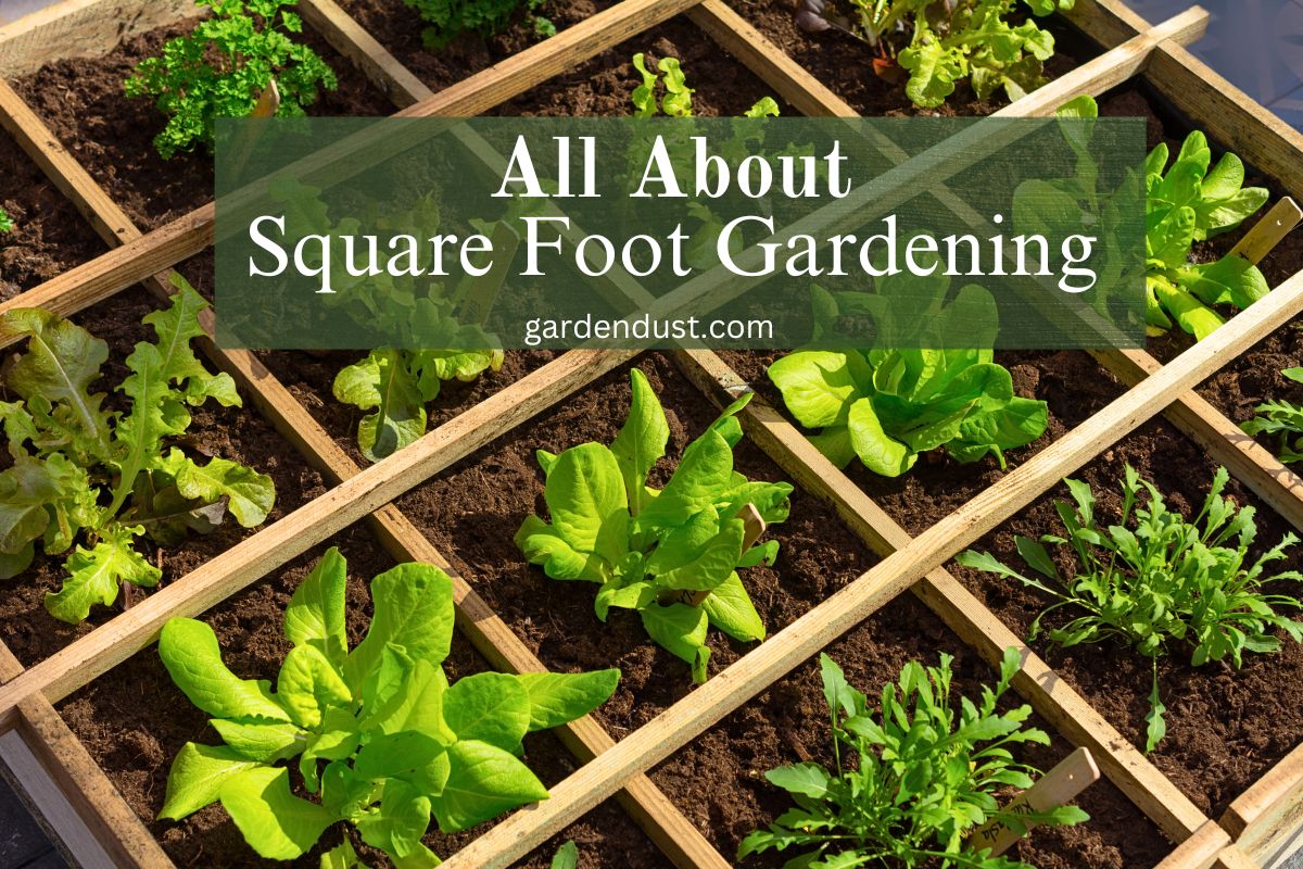 All About Square Foot Gardening - GARDENIGN COMPANION PLANTING CHART ...