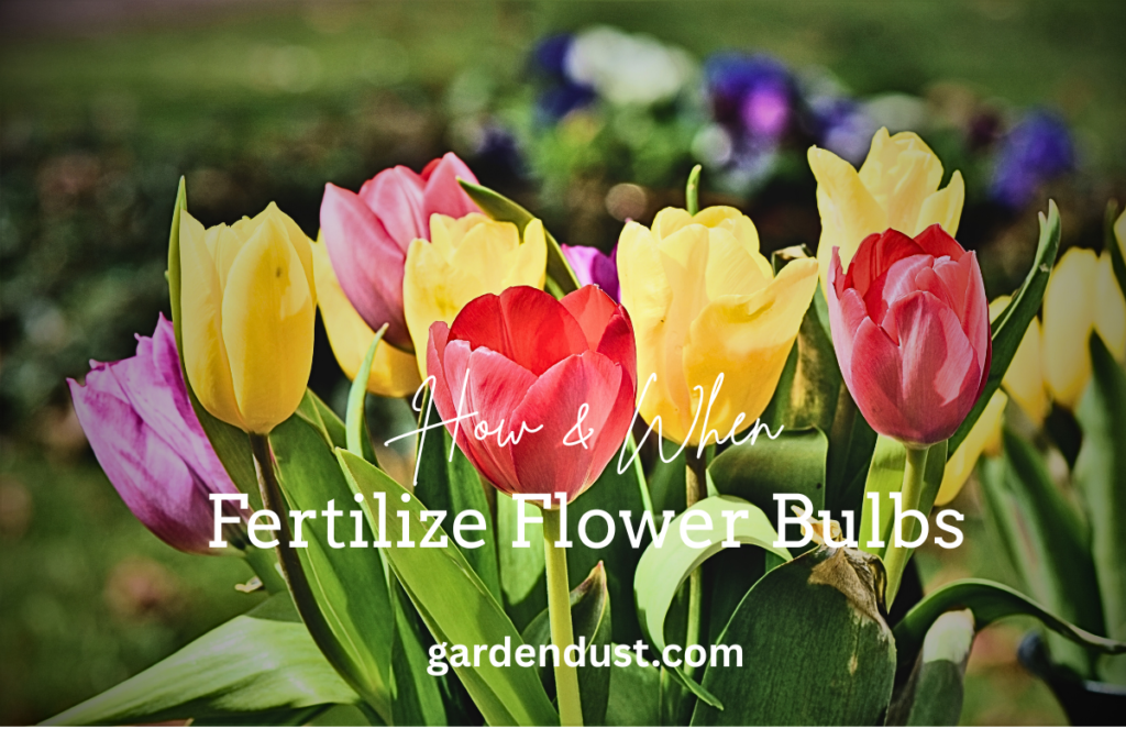 9 Plants Never Grow Side By Side - Garden Dust