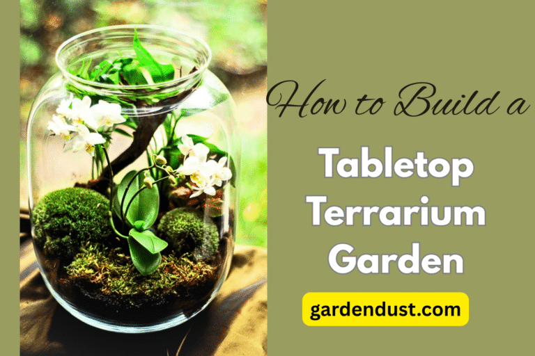 How to Build a Tabletop Terrarium Garden - Garden Dust