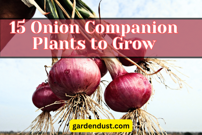 15 Onion Companion Plants to Grow - Garden Dust