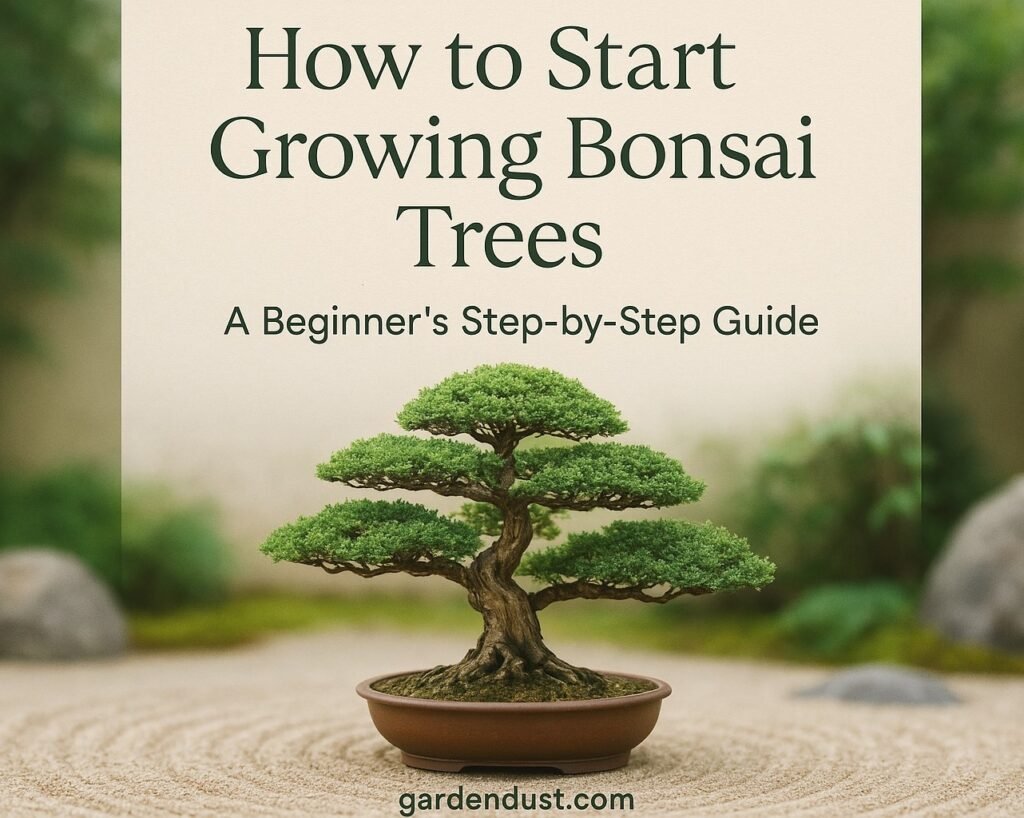 How to Start Growing Bonsai Trees: A Beginner’s Step-by-Step Guide ...